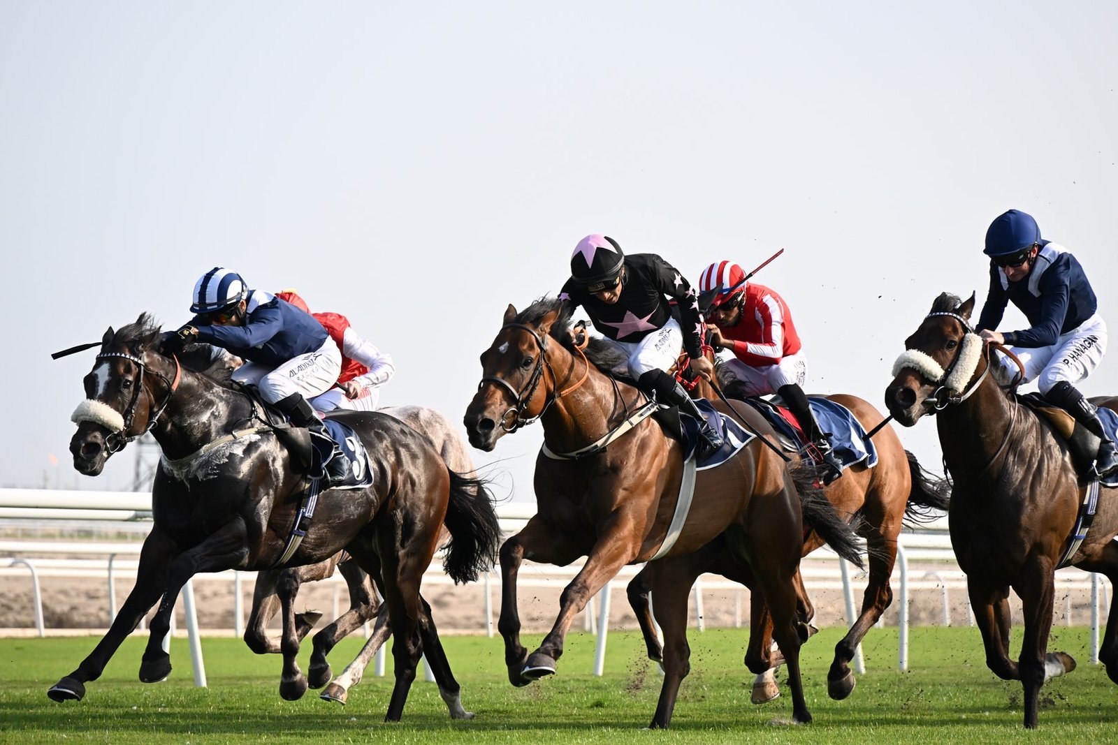 REHC Launches 2025 2026 Racing Season Ticket Sales in Collaboration ...